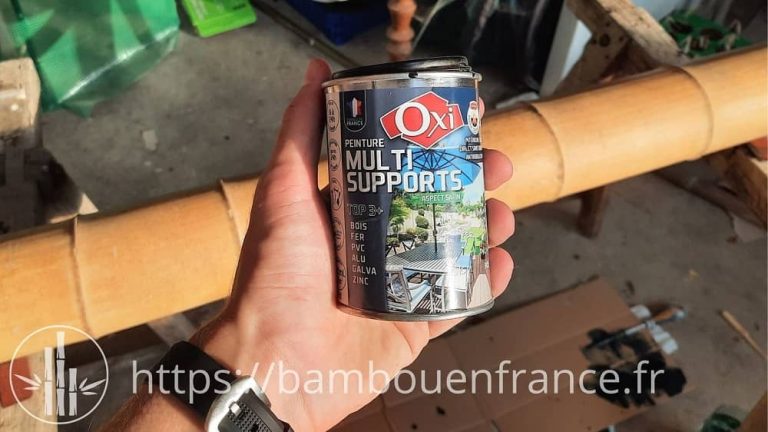 Comment Peindre Des Bambous Coupés En 6 Etapes Bambou En France